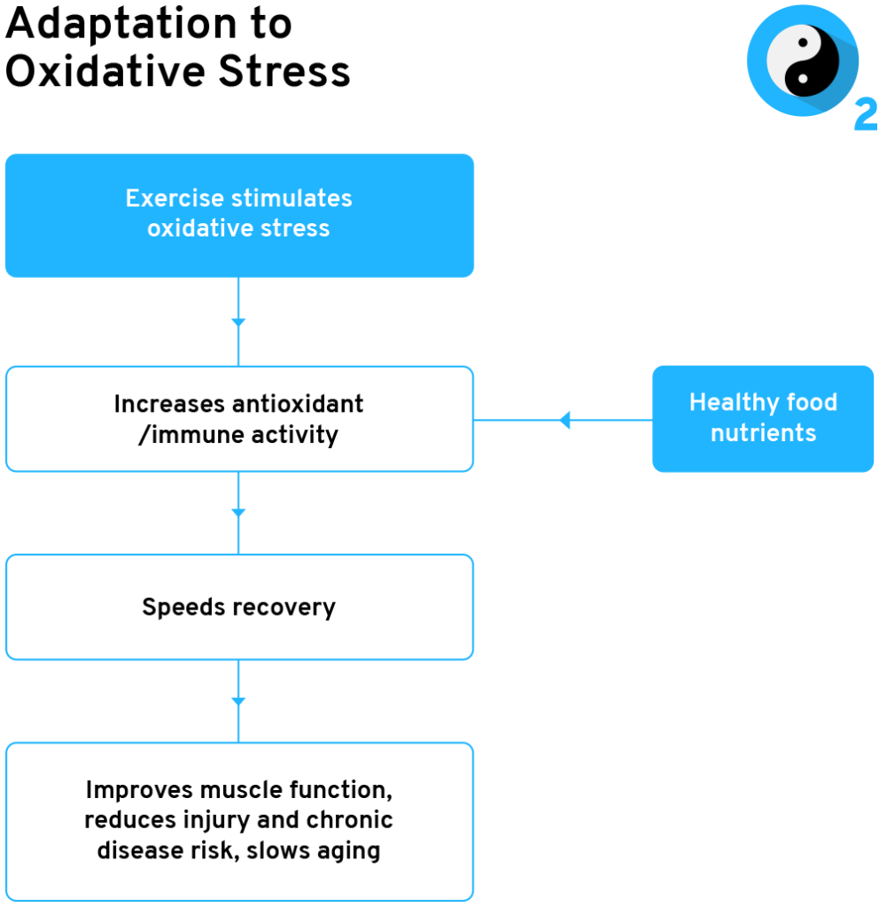 The Zen of Oxygen - Dr. Phil Maffetone