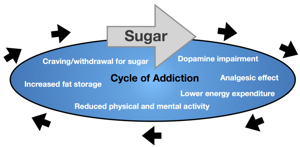 SPECIAL REPORT: Sugar is a Drug - Dr. Phil Maffetone