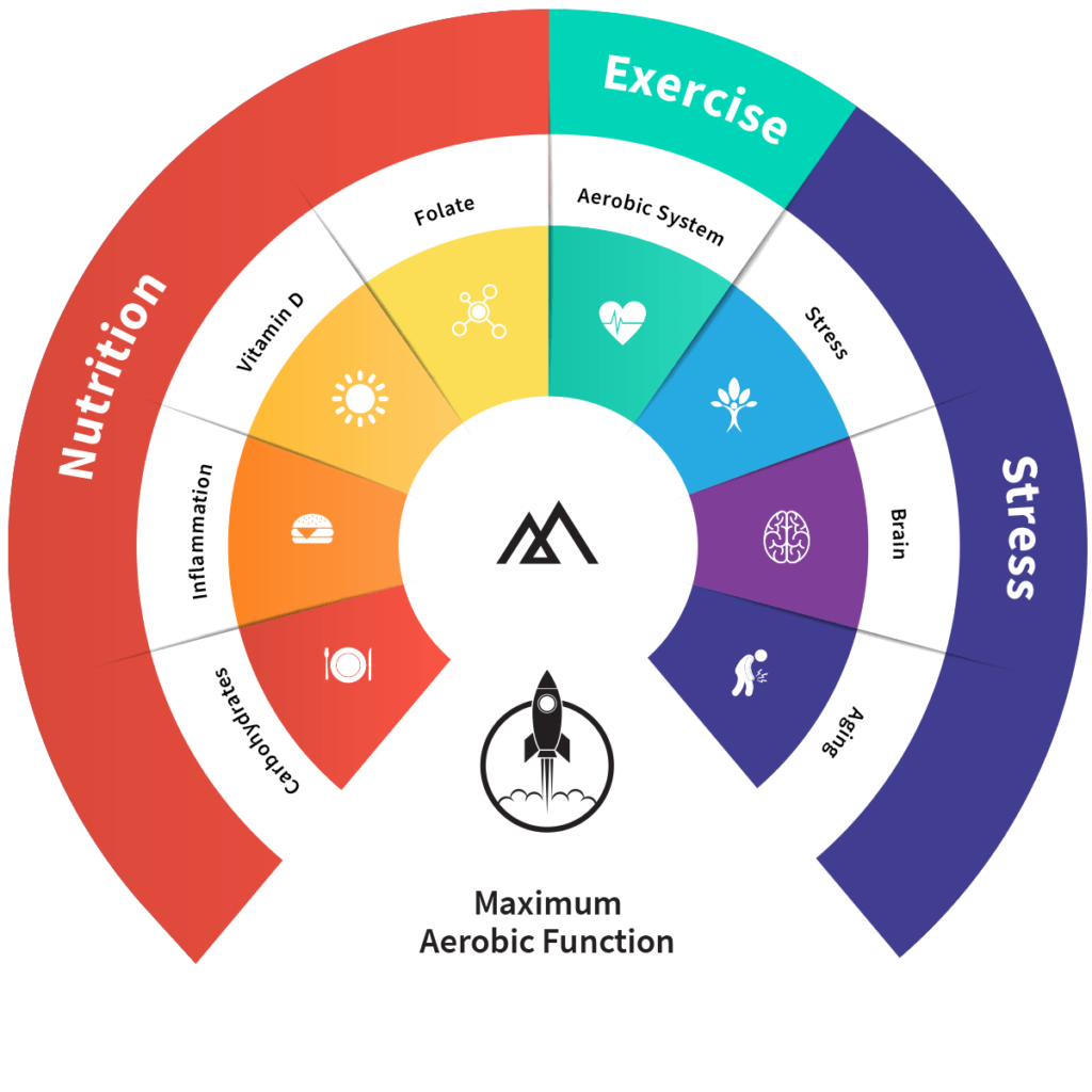 Phil's Shake - Dr. Phil Maffetone